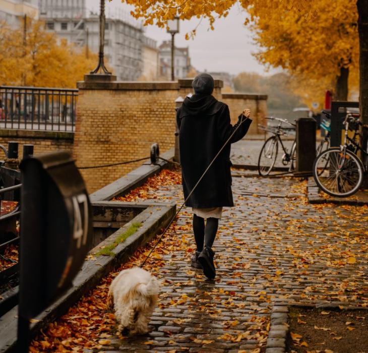 Köpenhamns officiella turistguide | Visit Copenhagen